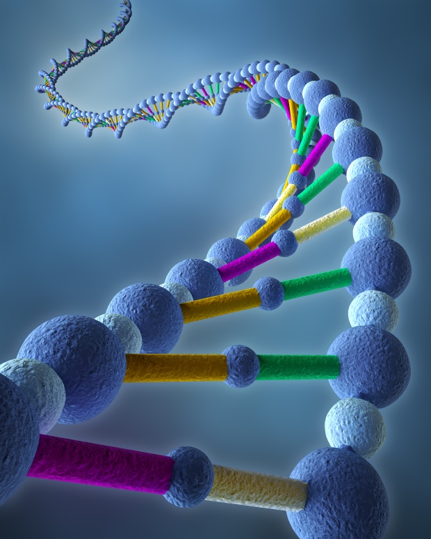 Functional Medicine and Genetic Testing for Health — National ...